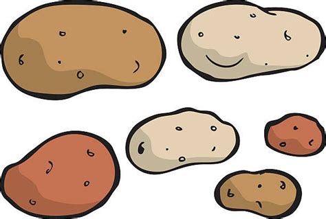 Grafika Wektorowa Ikony Ilustracje Potato Na Licencji Royalty Free