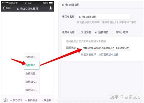 白杨seo：公众号群发与发布有什么区别？公众号如何绑定视频号？【实点举例】