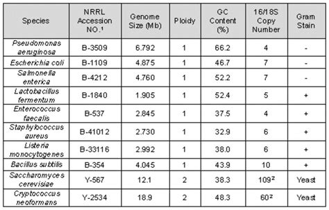 一种用于宏基因组测序的建库方法、试剂盒和测序方法与流程 2