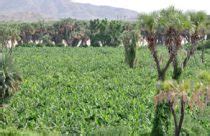 The People Of Eritrea Eritrea Ministry Of Information