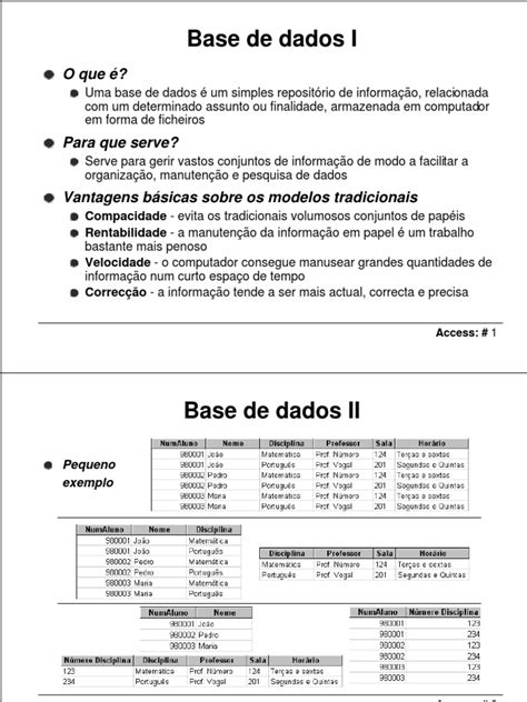 Access Pdf Microsoft Access Bancos De Dados