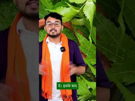 नीम के पत्तों से कीटनाशक तैयार करने का आसान तरीका Neem Se Taiyaar