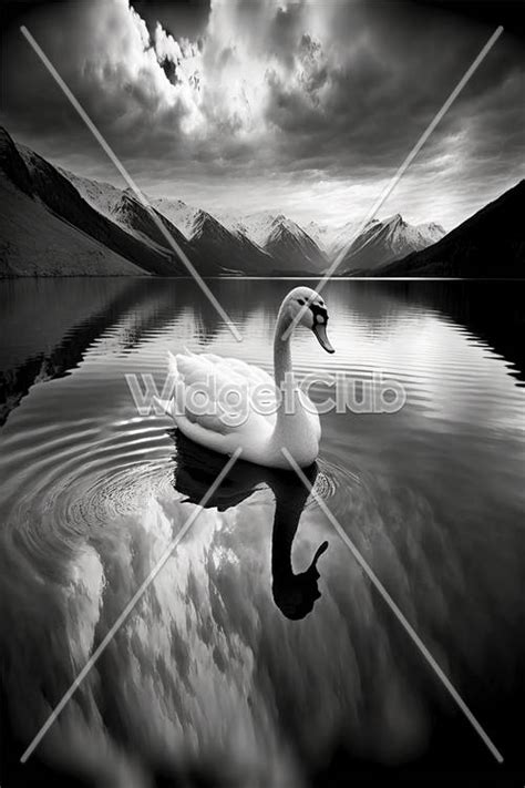 산 배경화면 708 이미지를 무료로 다운로드하세요 Widgetclub