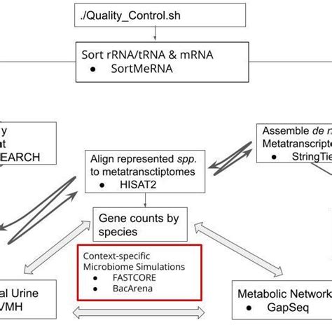 Overview Of Context Specific Microbiome Community Model Reconstruction