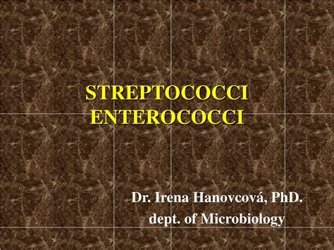 Ppt Streptococci Enterococci Powerpoint Presentation Free Download Id 4626866