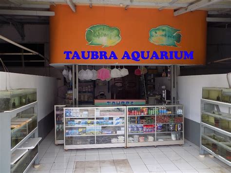 15 Toko Aquarium Terdekat Di Kota Bekasi Ulastempat