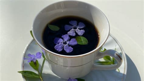 Blue Tea Benefits এই ফুলের চা খেয়ে ডায়াবেটিসকে রাখুন নিয়ন্ত্রণে