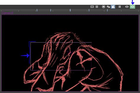 Question Help Previewing Sub Camera Area Unable To Be Adjusted R