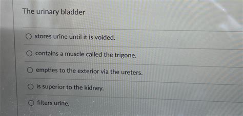 Solved The Urinary Bladderstores Urine Until It Is