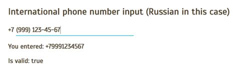 React Phone Number Input Component Reactscript