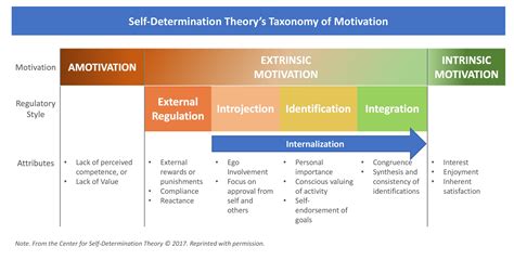 You Probably Recognize This If Self Determination Theory