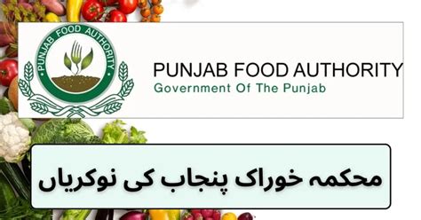 Food Department Punjab Jobs 2024 Jobs Information
