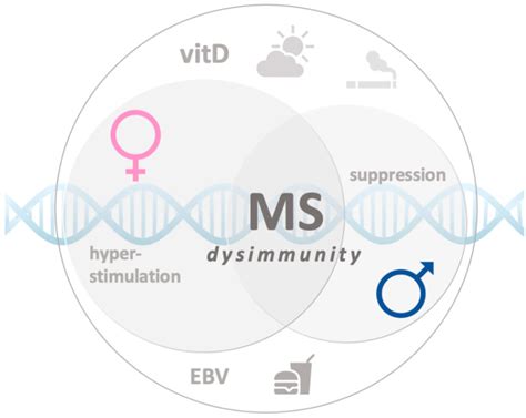 A Case Of Double Standard Sex Differences In Multiple Sclerosis Risk