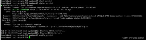 Linux安装mysql教程【带图文命令巨详细】 Csdn博客 Linux安装mysql教程【带图文命令巨详细】 Csdn博客