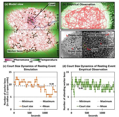 Figure 4 From A Minimally Invasive Approach Towards Ecosystem Hacking” With Honeybees