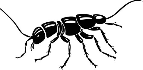 A Simple Yet Striking Black And White Illustration Of A Cockroach In A Minimalist Style 49760539