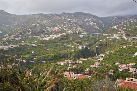 카메라 데로 보스 마데이라에서에서 바나나 나무와 대서양 해안선의 Miradouro 다 토 관점의 보기 0명에 대한 스톡 사진 및