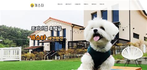 개스타 펜션 포트폴리오 아이스튜디오V