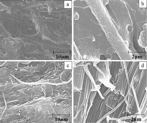 Scanning Electron Micrographs Of Fracture Surfaces Of Three Point
