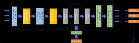 The Architecture Of The Deep Convolutional Auto Encoder And The Losses