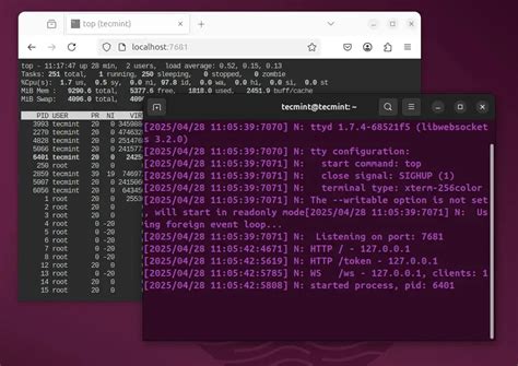 Ttyd Securely Share Your Linux Terminal Over The Web