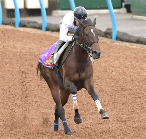 2冠牝馬スターズオンアース年内休養 左前肢繋靱帯に炎症 競馬ニュース Netkeiba