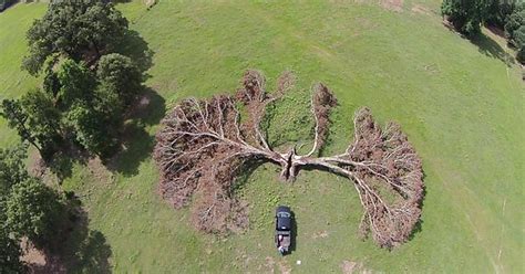 As God As My Witness He Is Broken In Half Album On Imgur