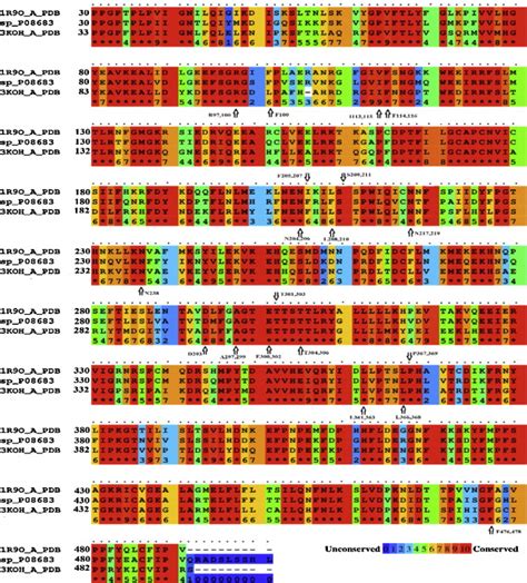 The Sequence Alignment Among Chain A Of Flurbiprofen Bound Cyp2c9 Pdb