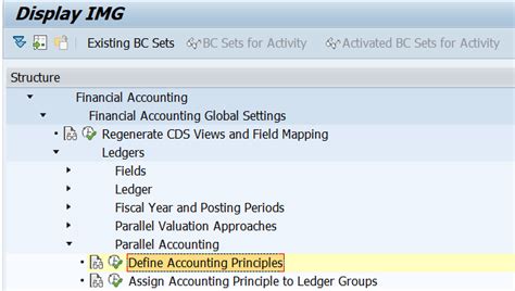 Define Accounting Principle In SAP S HANA SAP Hana Tutorials