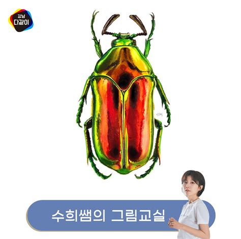 장수풍뎅이 기초디자인