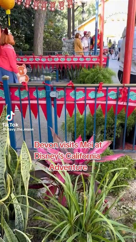 Devon Visiting Mei At Disneys California Adventure Rturningred