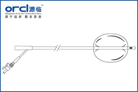 子宫填塞球囊导管 其他类 广州源临医疗器械有限公司