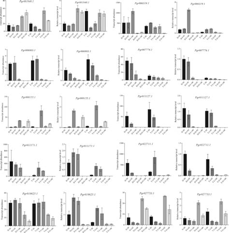 Diversity Of Metabolite Accumulation Patterns In Inner And Outer Seed
