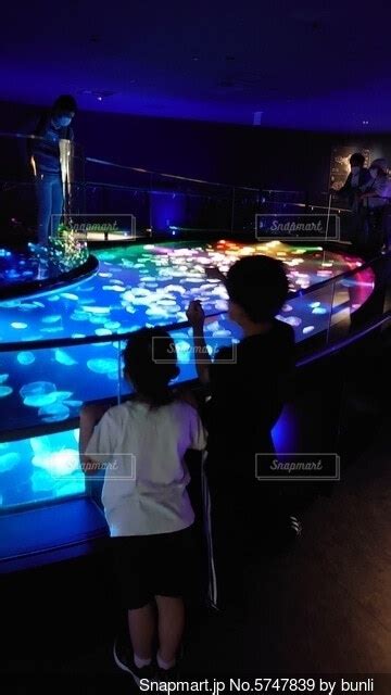 水族館の水槽の中で写真を撮る人たちの写真画像素材 5747839 Snapmartスナップマート