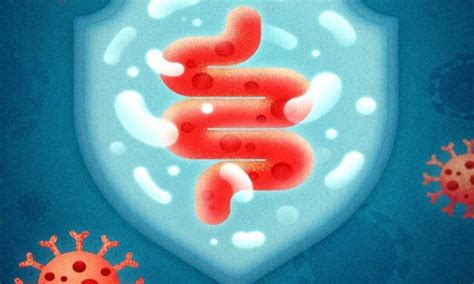 Cell：长读长测序组装肠菌完整基因组，深度解析儿童营养不良 中国益生菌网 益生菌 乳酸菌与双歧杆菌菌种资源库