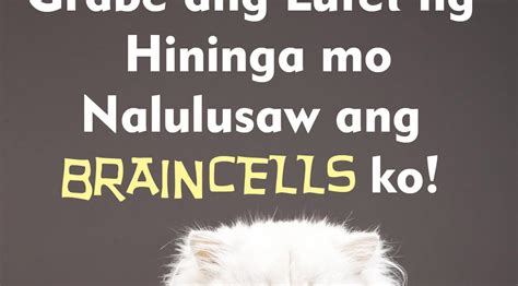 Pamatay Na Banat Sa Mga Mabaho Boy Banat