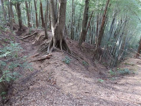 丸子城の写真三日月掘と竪堀 地ビール工場さん 攻城団
