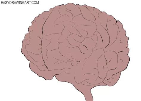 Pink Brain Drawing