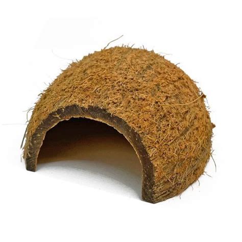 Coco Hide The Spider Shop