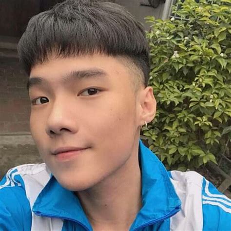 Chiến Đỗ Chiên Hình Nền Hình