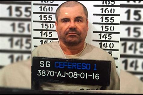 Juez Concede Al Chapo Guzmán Suspensión Provisional De Extradición