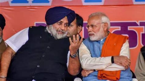 Akali Dal Eyes Bjp Alliance For 2024 Polls Sad Delhi President Sets