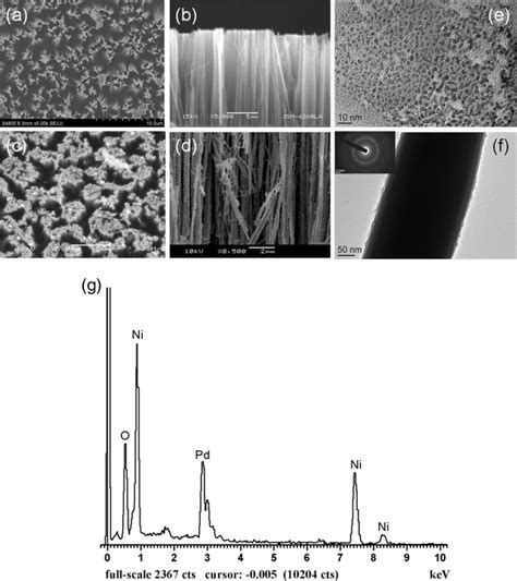 SEM Images A Top View And B Cross Section Of The SiNWs Before