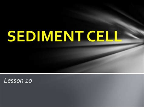 Sediment Cell Lesson 10