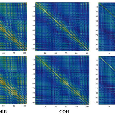 Functional Connection Matrixes Were Calculated By Three Coupling Download Scientific Diagram