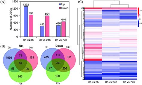 A Number Of Differentially Expressed Genes Under 150 MM NaCl For 3