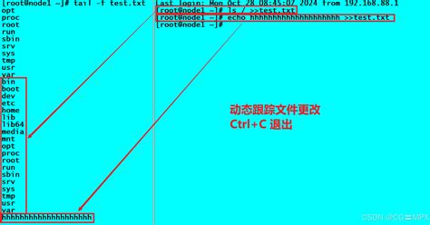 linux 操作系统 2 （命令篇） csdn博客