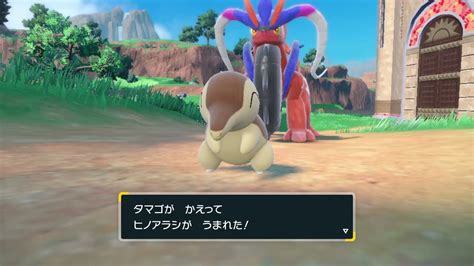 【ポケモンsv】ヒノアラシ 色違い【国際孵化】 Youtube