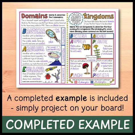 Classification And Dichotomous Keys Doodle Notes