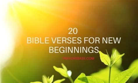 25 Powerful Bible Verses About Fellowship And Community That Will